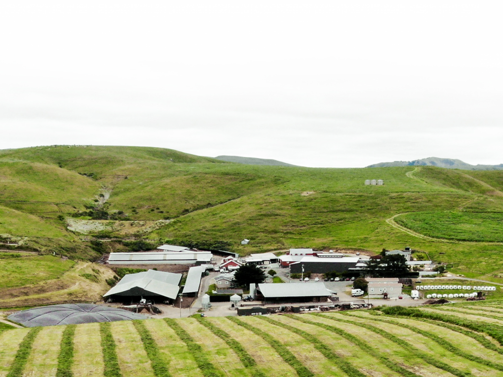 Point Reyes Farmstead Cheese - Tenant Improvement - Mark III ...